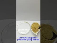 50% Amino Acid Feed Additive White Crystal Powder Animal Grade