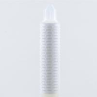 Quality 0.22μM PTFE Membrane 10 Inch Water Filter Cartridges PTFE Cartridge Filter for sale