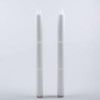 Quality PTFE Membrane Filter Cartridge For Food Beverage Air Sterilization Filtration 0.22μM 30