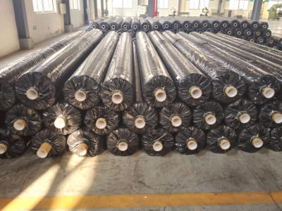 Cina Plastica di Geogrid del muro di sostegno di resistenza/materiale ossidativi polipropilene/del poliestere in vendita