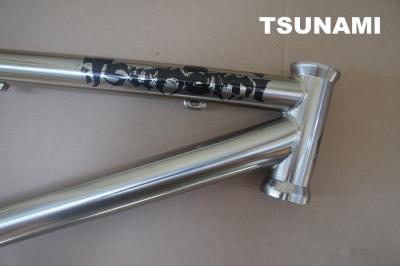 Κίνα 26er Chromolly Steel Dirtjump Frame Slope Style CR520 Titanium Chromed 12.5