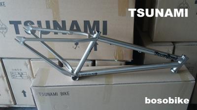 Κίνα 26er Chromolly Steel Dirtjump Frame Slope Style CR520 Titanium Chromed 12.5