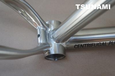Κίνα 26er Chromolly Steel Dirtjump Frame Slope Style CR520 Titanium Chromed 12.5