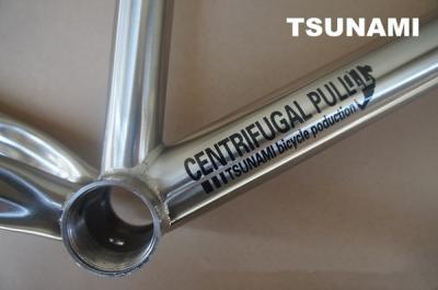 Κίνα 26er Chromolly Steel Dirtjump Frame Slope Style CR520 Titanium Chromed 12.5