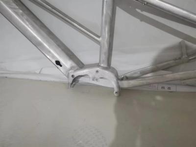 Κίνα Custom Shimano Ep8 Low-Step City E-bike Frame Women Electric Bike E5000 προς πώληση