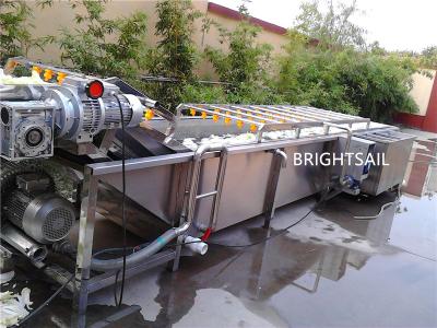 Κίνα 1750kg φυτικό πλυντήριο φυσαλίδων ελέγχου συχνότητας φρούτων προς πώληση