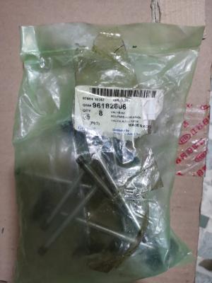 Cina Nuova e originale 96182806×8 Valvola d'ingresso per Daewoo NUBIRA Lacetti LANOS REZZO Chevrolet Vivant in vendita