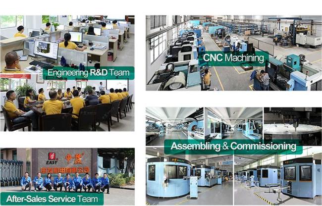 Company Team