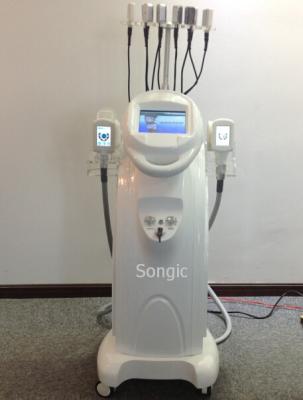 Cina Corpo che modella Cryolipolysis che dimagrisce rimozione a macchina delle celluliti di perdita di peso in vendita