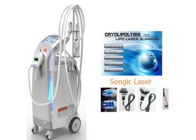 Cina Congelamento grasso della limatrice 3pc Cryolipolysis del corpo di rf per le donne in vendita