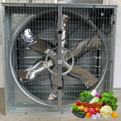 China 2025 Hot Red Plastic Blade Poultry Exhaust Fan Electric Shutter Exhaust Fans for Factory Greenhouse Low Price Industrial Source for sale
