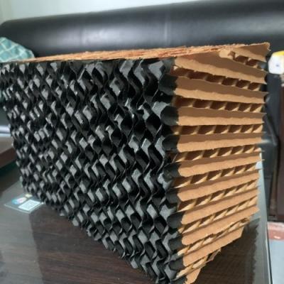 China High Evaporative Black Coated Chicken House Evaporative Cooling Pad for Greenhouse and Poultry Farm with 95 Gsm Paper for sale