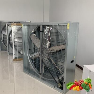 China 2025 Hot Sale New Arrival 1380mm Light Trap Chicken House Light Trap with Poultry Exhaust Fan for sale