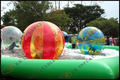 Cina Palla gonfiabile dell'acqua della tela cerata ad alta resistenza del PVC per lo stagno di Dwimming in vendita