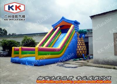 China Cheap Outdoor Inflatable Dry Slide / Inflatable Water Slide For Pool for sale
