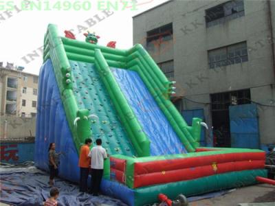 Cina Gonfiabili pazzi di dimensione adulta asciugano lo scorrevole, giochi dell'attrezzatura del parco di divertimento in vendita
