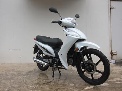 Cina Motociclo su misura del cucciolo di colore scatola media di nuovo stile di 125 cc grande in vendita