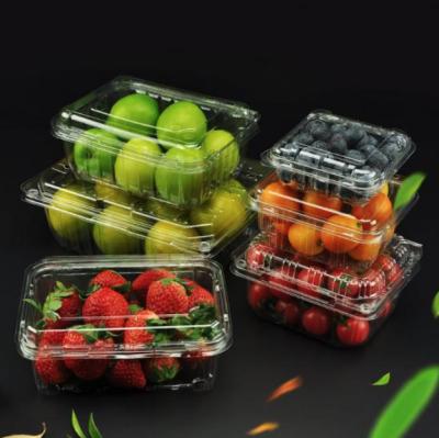 China OEM PET Fruit Plastic Container Transparent PET Box for Snack Nuts Dessert Fruits for sale