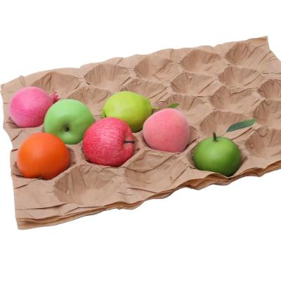 China PP Mold Kraft Material Fruit Tray Liner Paper Pulp Packaging for Apples and Avocados Manufacturer for sale