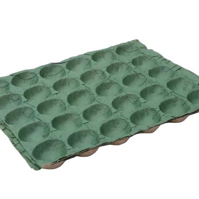 China Bulk Selling 30-Hole Apple Packaging Tray Fruit Liners PP Material Tray Paper Liner Supplier for sale