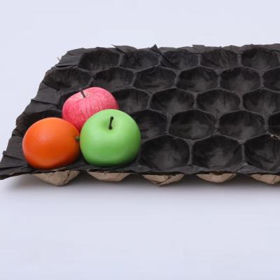 China Manufacture Alveoles Paper Tray for Stone Fruit Apple Paper Cells Tray Krat Paper Fruit Trays for sale