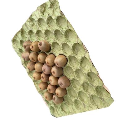 China Kiwi Paper Moulded Pulp Trays Disposable Fruit Packaging Tray Liners Supplier for sale