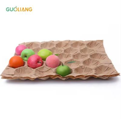 China ECO-friendly Fruits and Vegetable Packing Alveoli Apple Box Packaging Tray Moulded Pulpl Apple Tray for sale