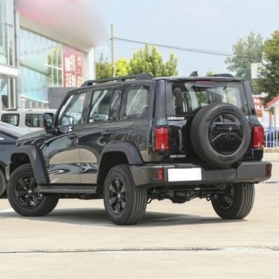 Κίνα Άμεση προμήθεια Great Wall Tank 300 SUV 8-Gear Gasoline Car Mgnt Πιστοποίηση ISO10012 προς πώληση