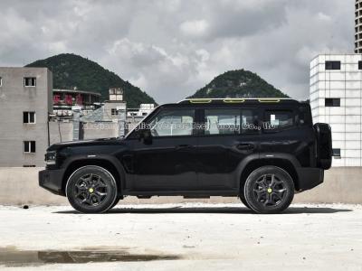 Chine 2024 2.0t 4WD PRO Haute vitesse 180km Grand espace SUV fermé Chery Jetour Traveller à vendre