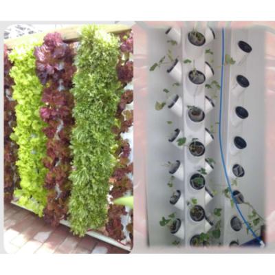China Nieuwe stijl hydroponische kweeksystemen toren tuin aeroponics systeem Te koop