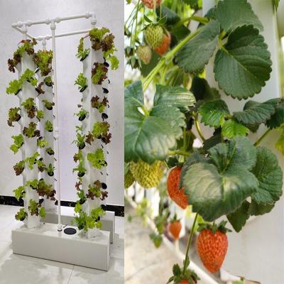 Cina Intelligente idroponica giardino verticale piantagione di erbe NFT sistema di coltivazione in vendita