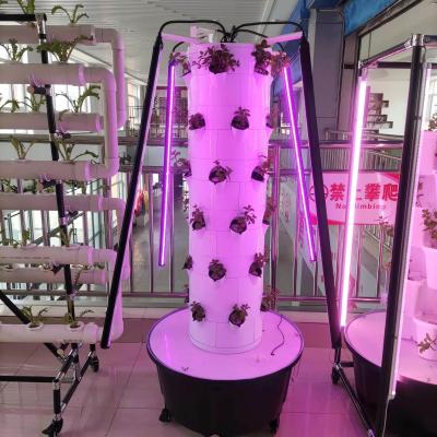 Cina Nuovo sistema di coltivazione idroponica verticale per verdure e fragole con LED in vendita