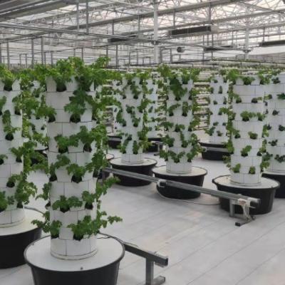 Cina Sistema di coltivazione idroponica sostenibile in vendita