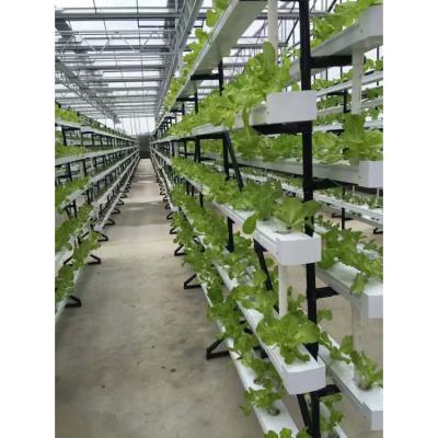 Cina Sistema idroponico di uscita di fabbrica sistema di coltivazione a più strati risparmio di acqua e coltivazione a vento in vendita