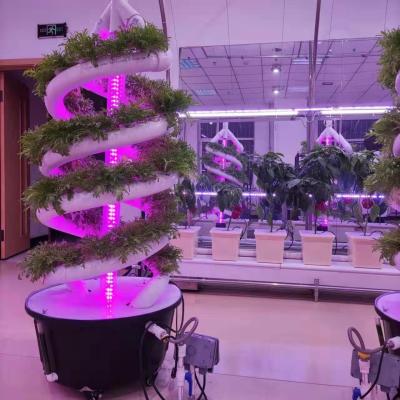 Cina Pianta a spirale verticale coltivare torre idroponica coltivazione giardino aeroponica sistema in vendita