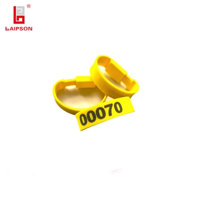 Κίνα LAIPSON 127mm Sheep Leg Tagging System In Plastic TPU Leg Band For Sheep Goat Farm προς πώληση