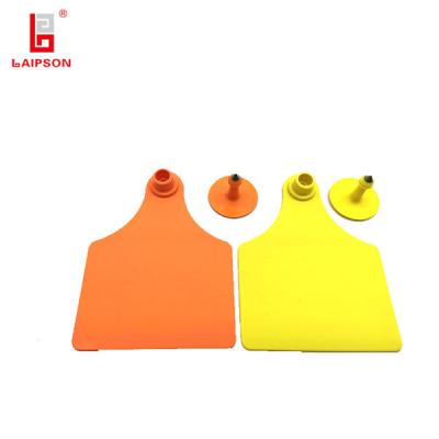 China Big Size 100*75mm Cow Ear Tag , Rfid Cattle Tags For Farm Management for sale