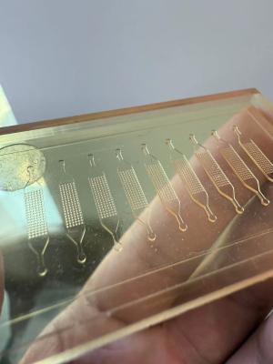 China Zegota Microfluidic Chip Microfluidic CMOS Integration Service for sale