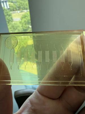 China Zegota Microfluidic Chip Microfluidic CMOS Integration Service for sale