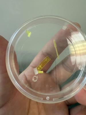 China Resin 2um 5um Standard Microfuidic Chips Zegota Design 3D Printing Services/3D Printer for sale