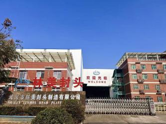 Κίνα Wuhan Linmei Head Plate Co., Ltd.