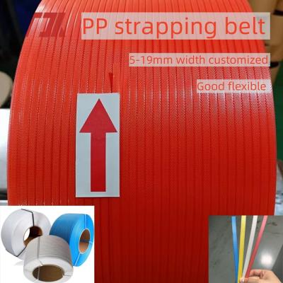 Cina 5-19 mm PP PET Strap Usato per imballaggio manuale o automatico con lunghezza più lunga e buona rettitudine in vendita
