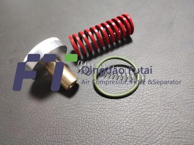 Cina 02250110-727 valvola di mandata minima Kit Air Compressor Spare Parts in vendita