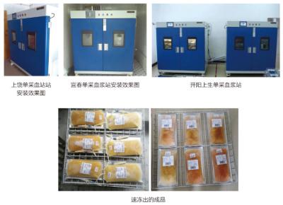 Chine congélateur de plasma sanguin 93600mL à vendre