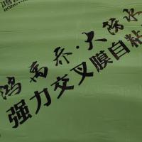 Quality High Polymer Strong Cross Self Adhesive Sheet Waterproofing For Civil Construction for sale