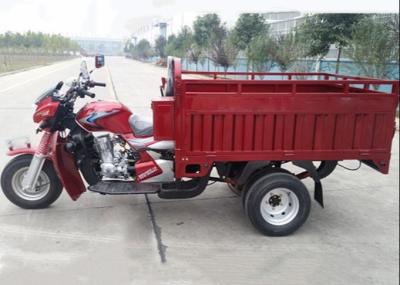 中国 ペダルのスクーターの電気大人250CCの貨物三輪車 販売のため
