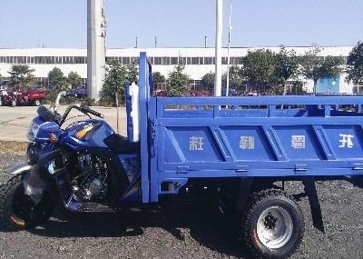 中国 ガソリン油圧ディスク250CC貨物三輪車 販売のため