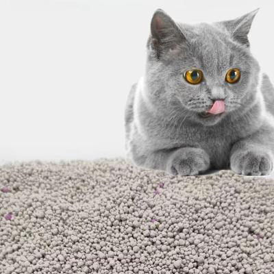 China OEM/ODM Manufacturers Natural Sodium Cat Sand Odor Lock Dust Free Clumping Premium Bentonite Cat Litter for sale