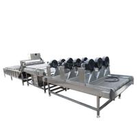 Quality 400-600kg Fruit Vegetable Processing Machine Automatic Fruit Drying And Sorting for sale