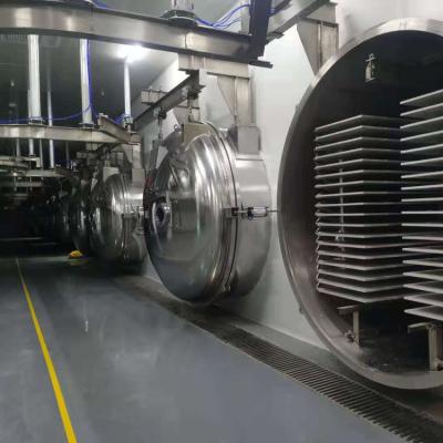Automatic Vacuum Freeze Dryer 304/316 Stainless Steel With Rotary Vane Pump